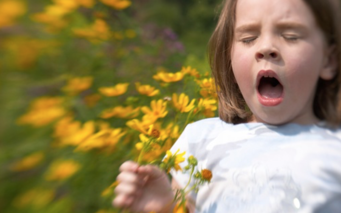 Hva er pollenallergi? | Aktuelt Spania